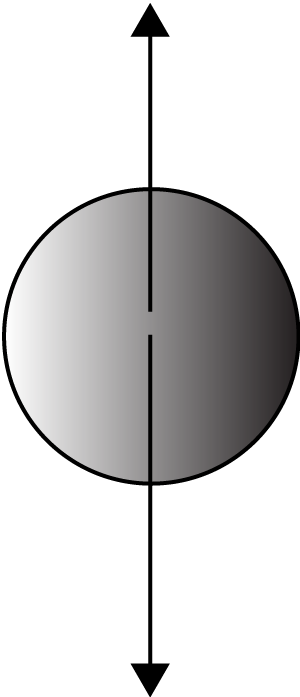 GCSE Physics Forces B | Grade Gorilla