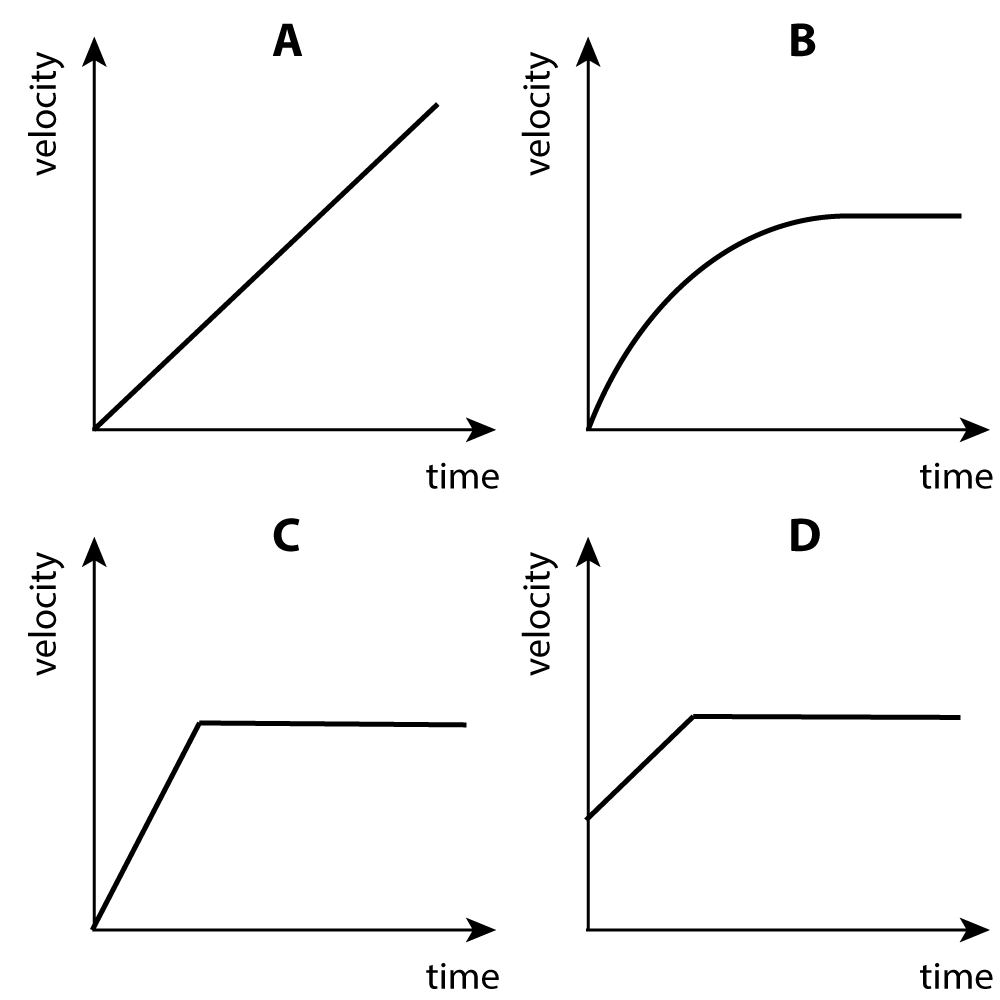GCSE Physics Forces B | Grade Gorilla