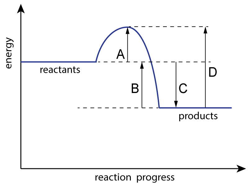 iGCSE Chemistry - Energetics | Grade Gorilla